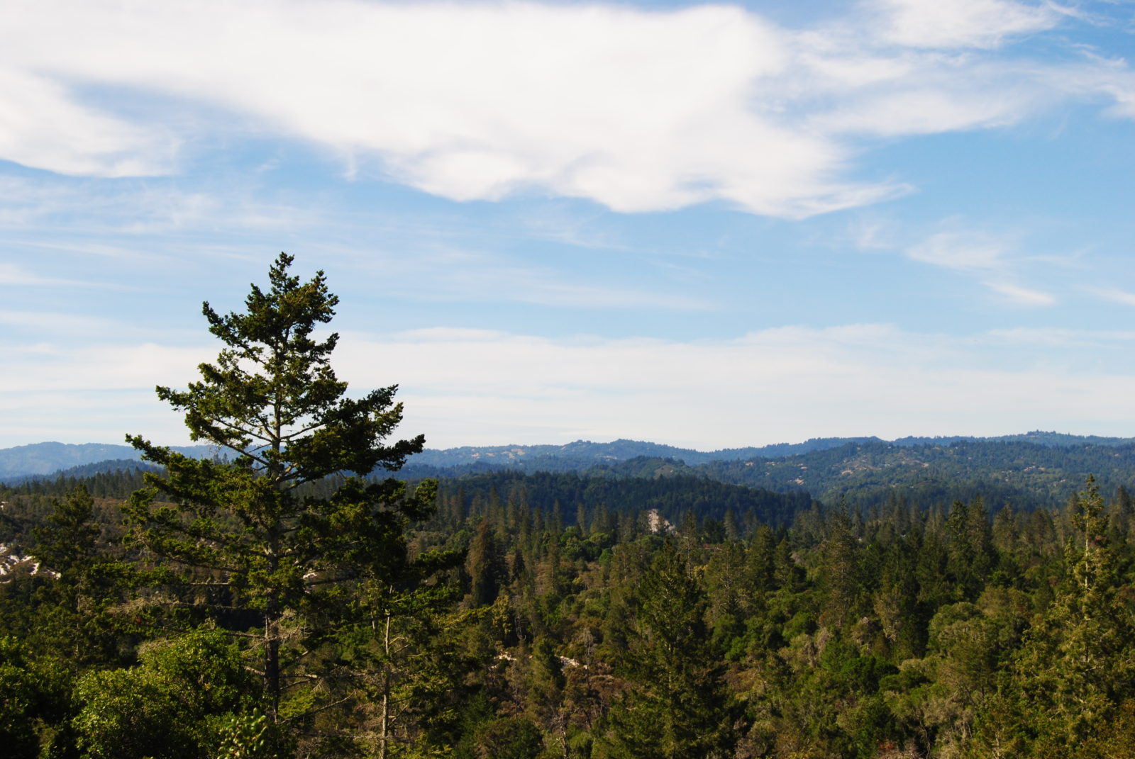 Gallery – Fred & Susan Rexroad